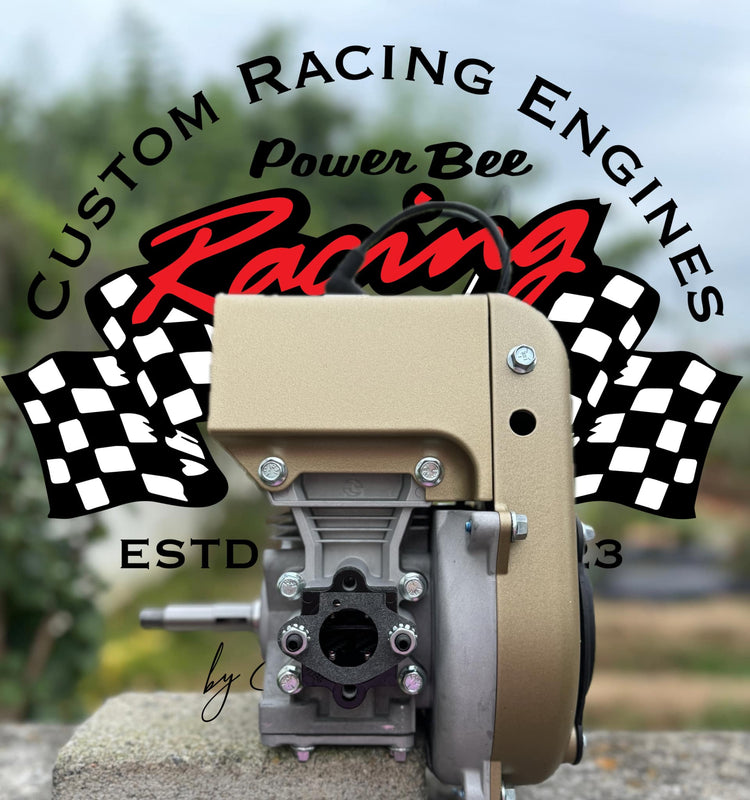 VKA Go Kart Racing – Power Bee Engine